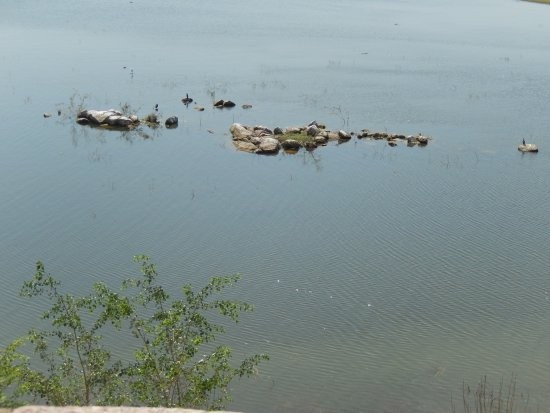 Shamirpet Lake, Near Jawahar Deer Park, Shamirpet, Hyderabad, Telangana ...