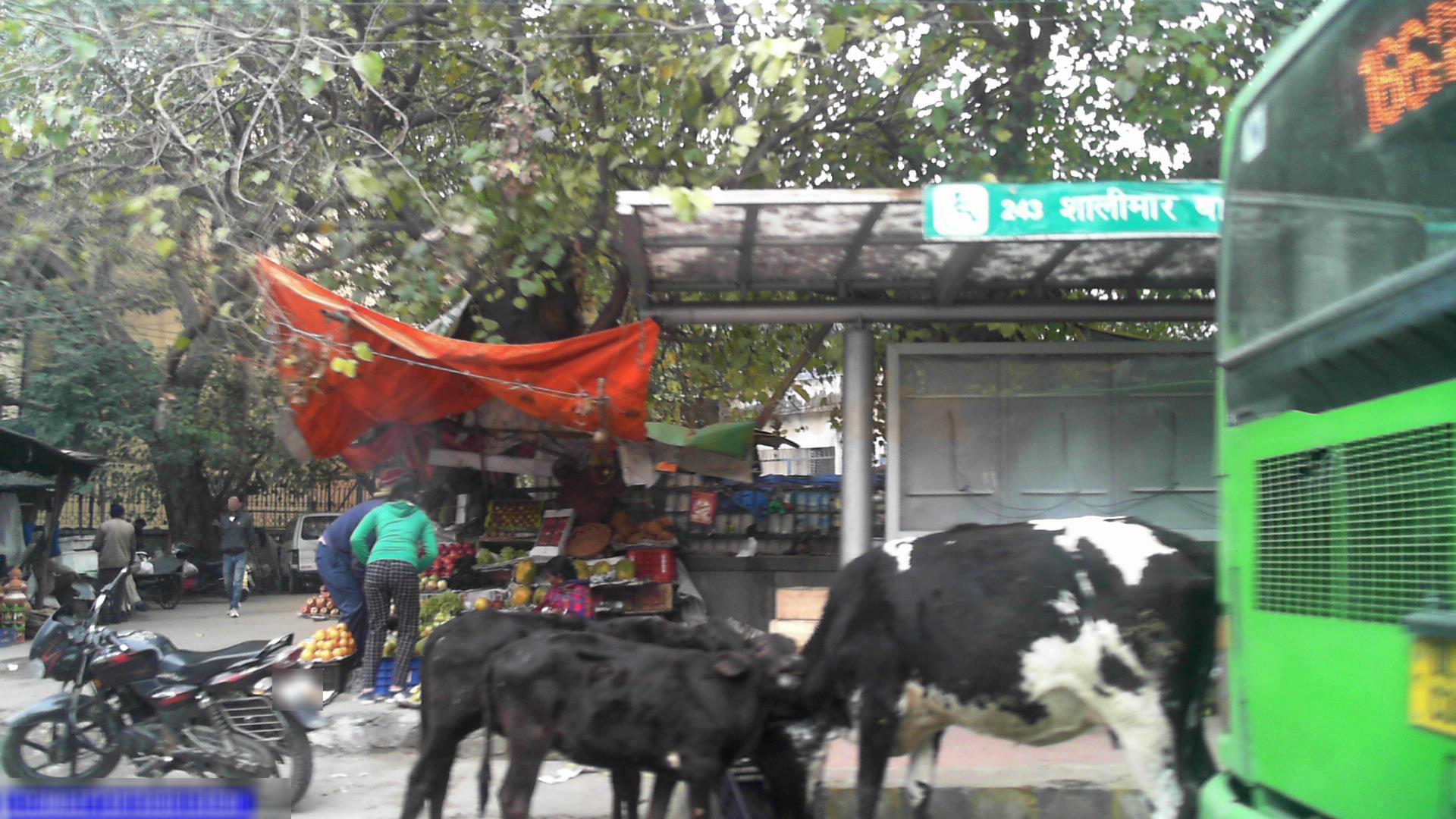 Shalimar Bagh DESU Bus Stop, 314A, Desu Road, Village Shalimar Bagh ...
