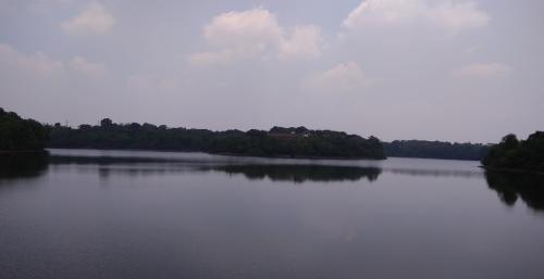 Ambalamedu Lake, Kochi, Puthencruz, Kerala, 682303
