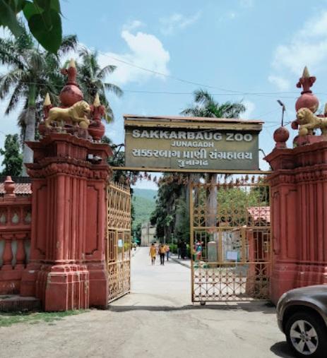 Sakkarbaug Zoo, Junagarh Rajkot Highway, Outside Majevadi Gate ...