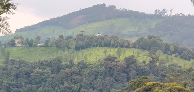 Coonoor Peak, Coonoor, The Nilgiris District, Tamil Nadu, 643103