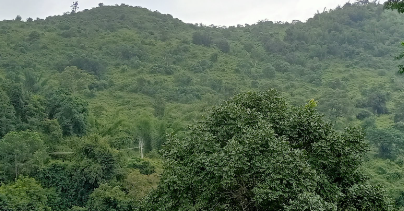 Javadhu Hills, Jamunamarathoor, Tiruvannamalai District, Tamil Nadu, 635703