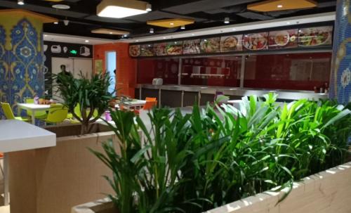 Oppo Corporate Office, 8B, 1st Floor, Tower C, Building 10, DLF Cyber ...
