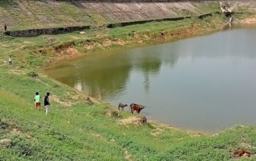 Memnagar Lake, Memnagar, Ahmedabad, Gujarat, 380052