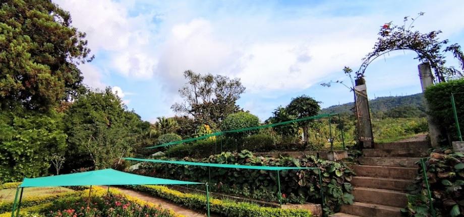 Fruit Garden, Motinagar, Nongthymmai, Shillong, Meghalaya, 793001