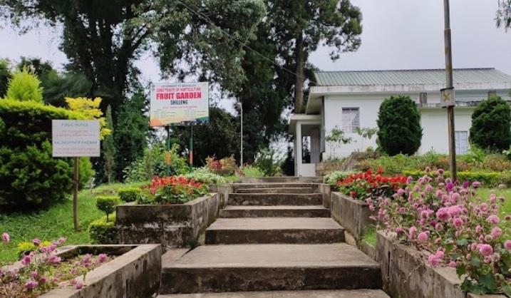 Fruit Garden, Motinagar, Nongthymmai, Shillong, Meghalaya, 793001
